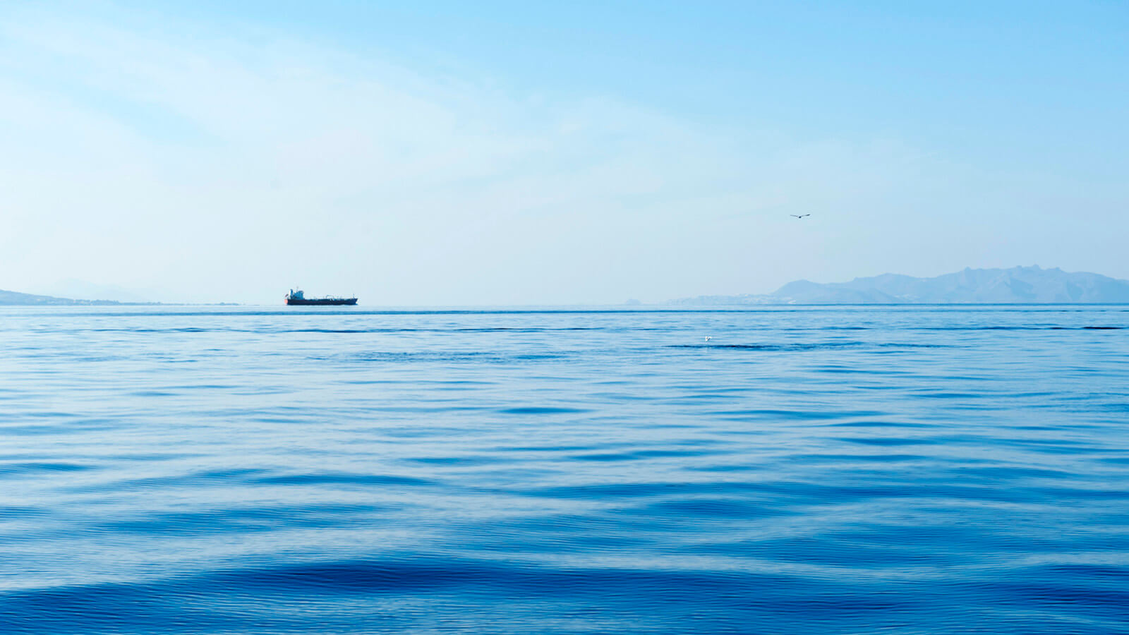 Ocean Export - Laufer Group International